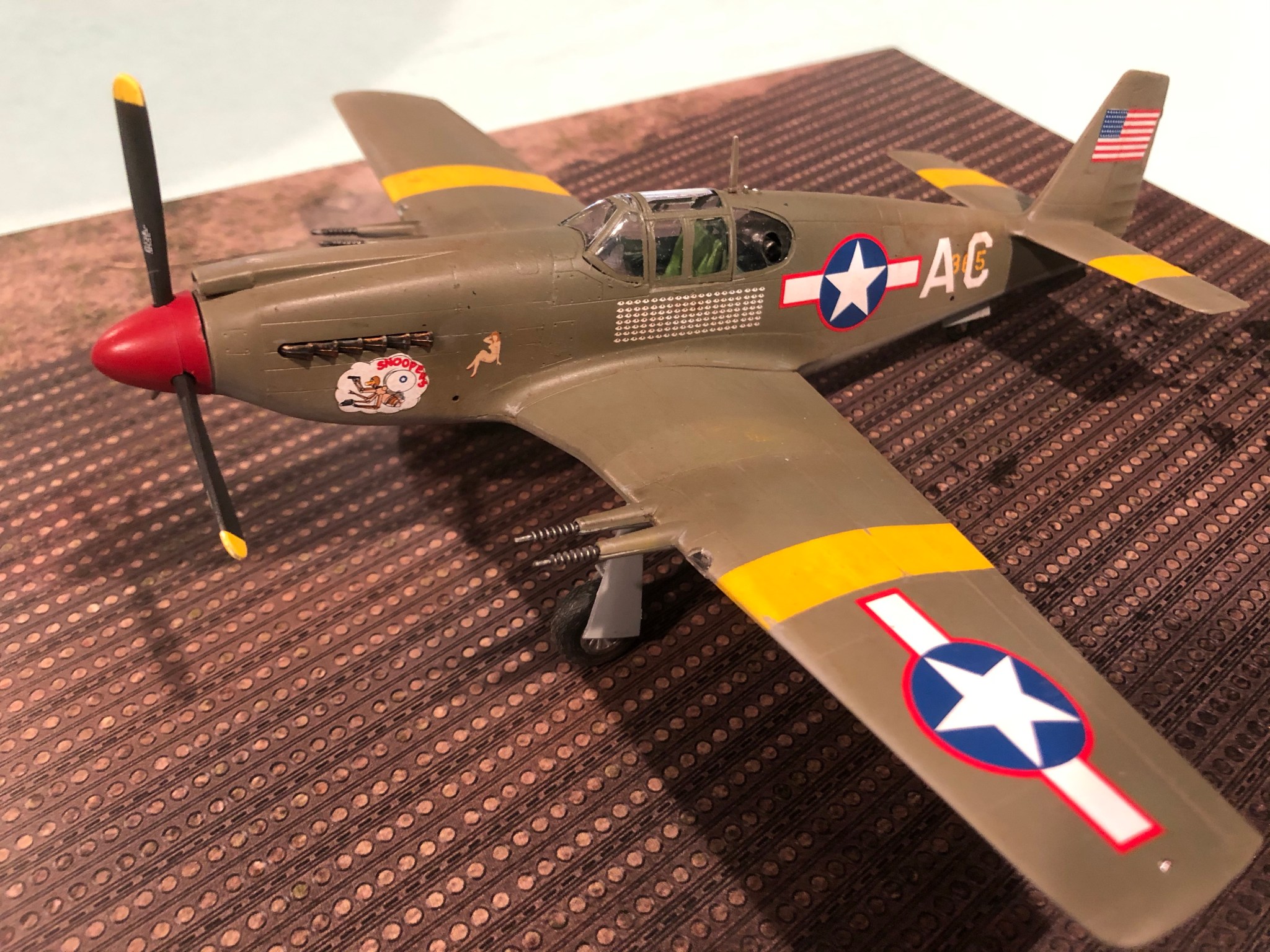 North American F-6A Mustang | Plane Dave